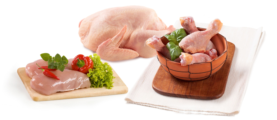 Poultry | Quirch